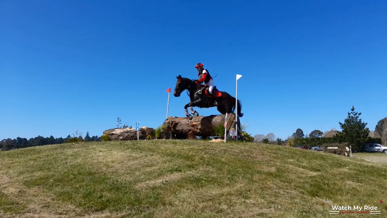Taylah Ward riding Holmeslee Pocket Rocket 216 105cm Springston Trophy ...