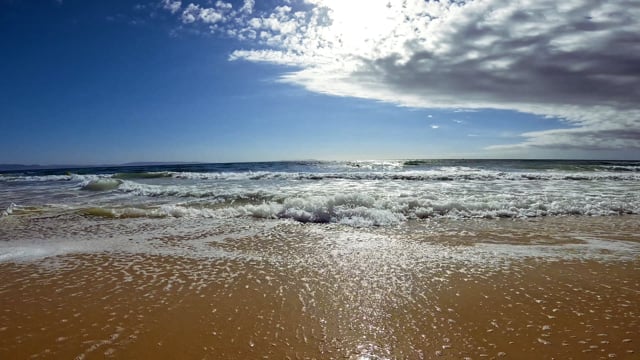 Beach, Sea, Ocean. Free Stock Video - Pixabay