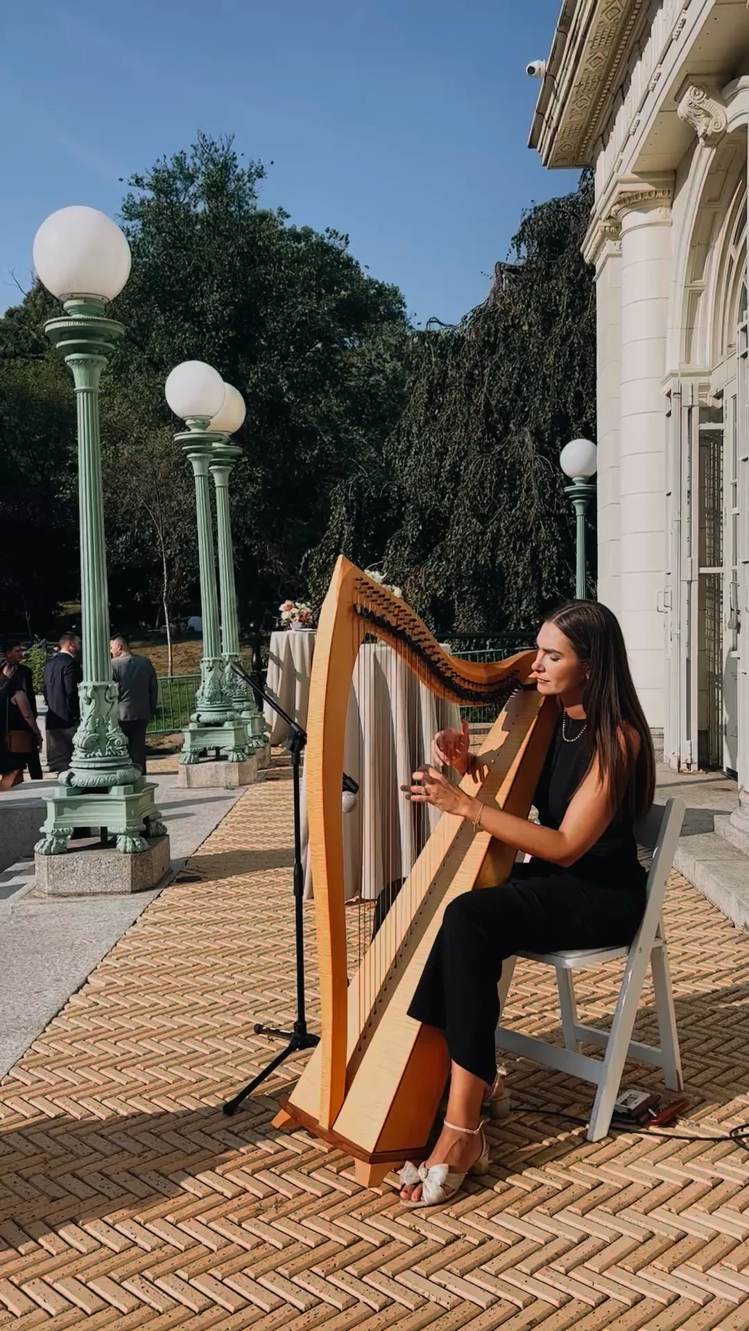 Harpist Mary Kate Boylan on Vimeo