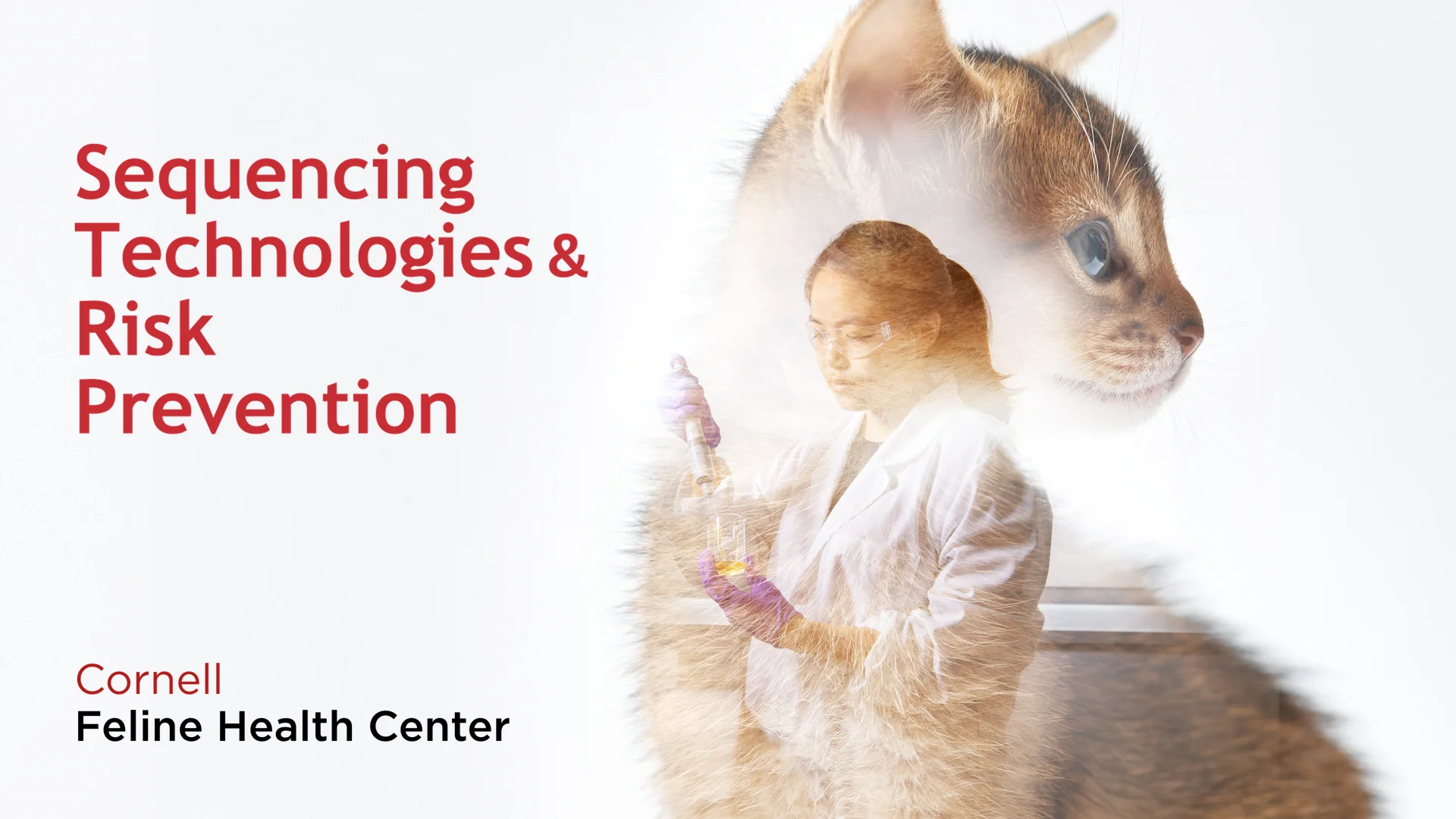Cornell Veterinary Medicine - Cornell Feline Health Center: Sequencing ...