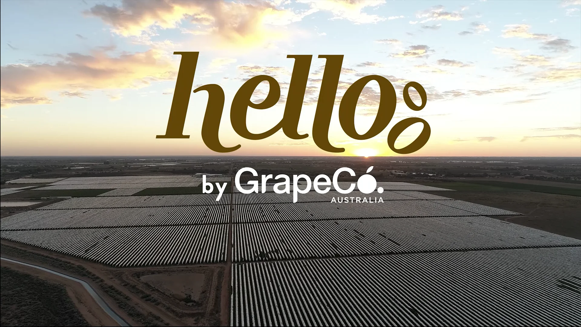 Hellooo™ by Grape Co Australia on Vimeo