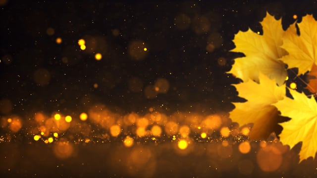 Motion Graphics: Fall: Volume One - Church Visuals