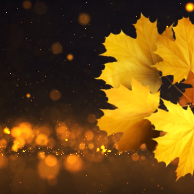 Motion Graphics: Fall: Volume One - Church Visuals
