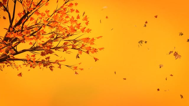 Motion Graphics: Fall: Volume One - Church Visuals