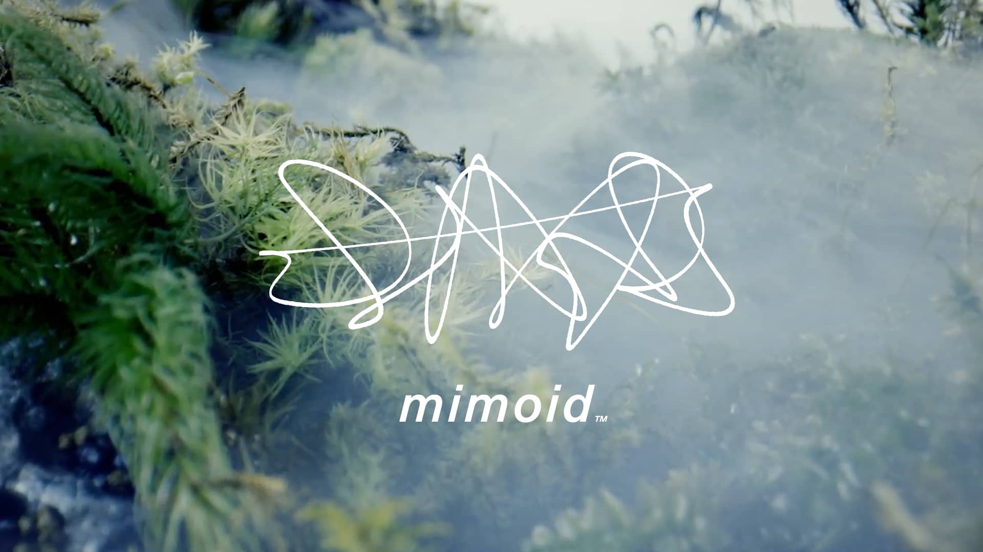 mimoid.inc Reel 2022 on Vimeo