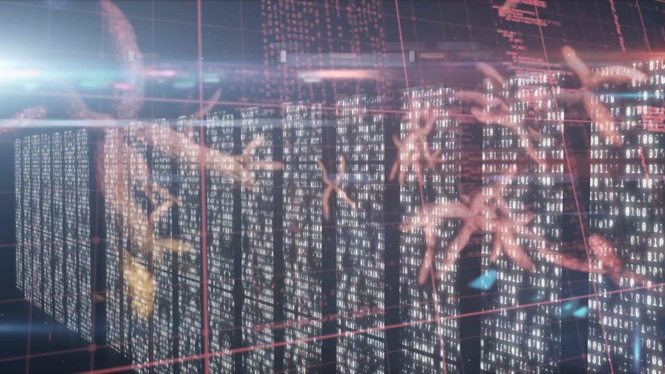 Animation of data processing and blood vessels over dna structures and screens with mosaic ...