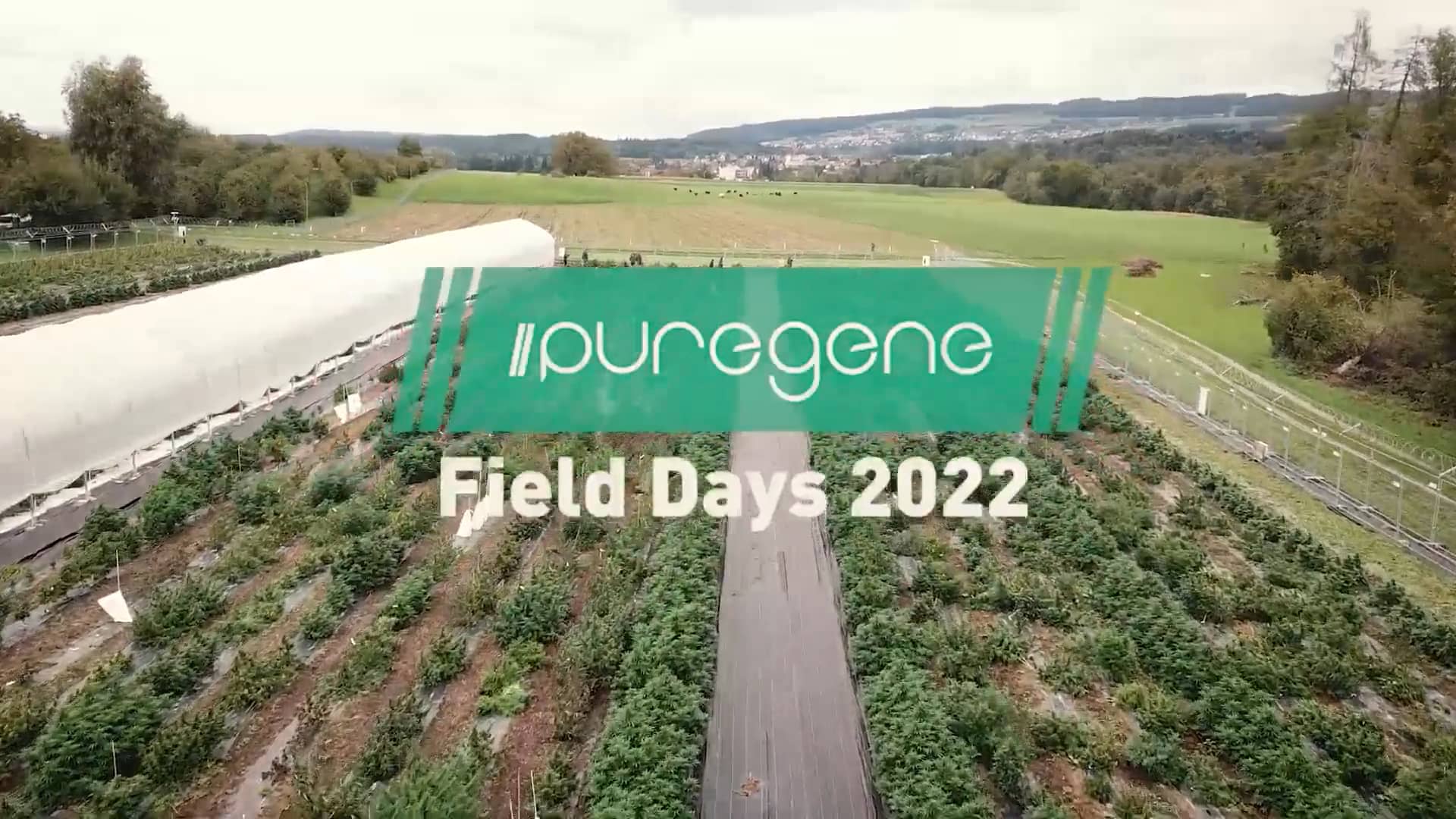 Puregene Field Days 2022 HD on Vimeo
