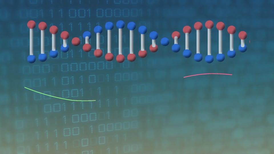 Animation of dna strand spinning and data processing on purple ...
