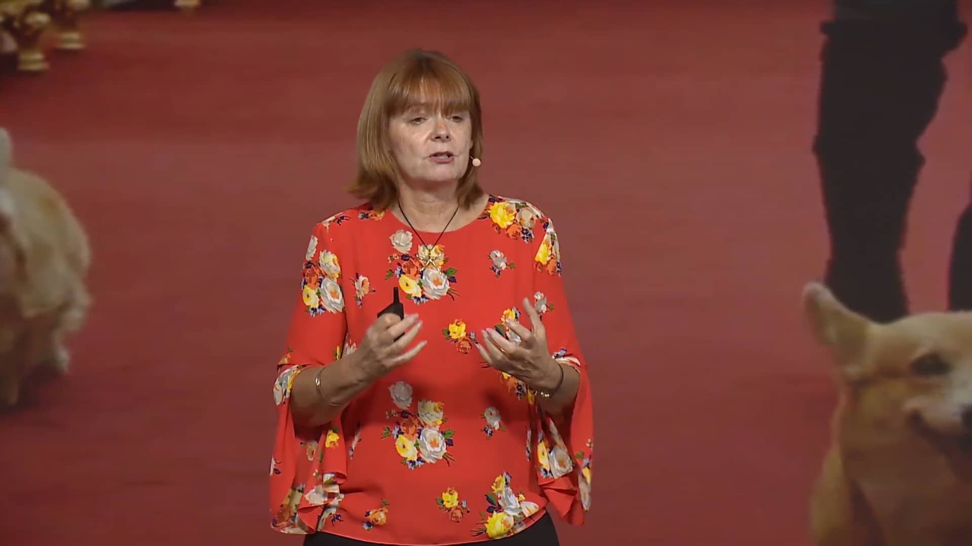 Linda Moir on Vimeo
