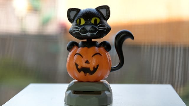 Gato Calabaza Decoración - Free video on Pixabay - Pixabay