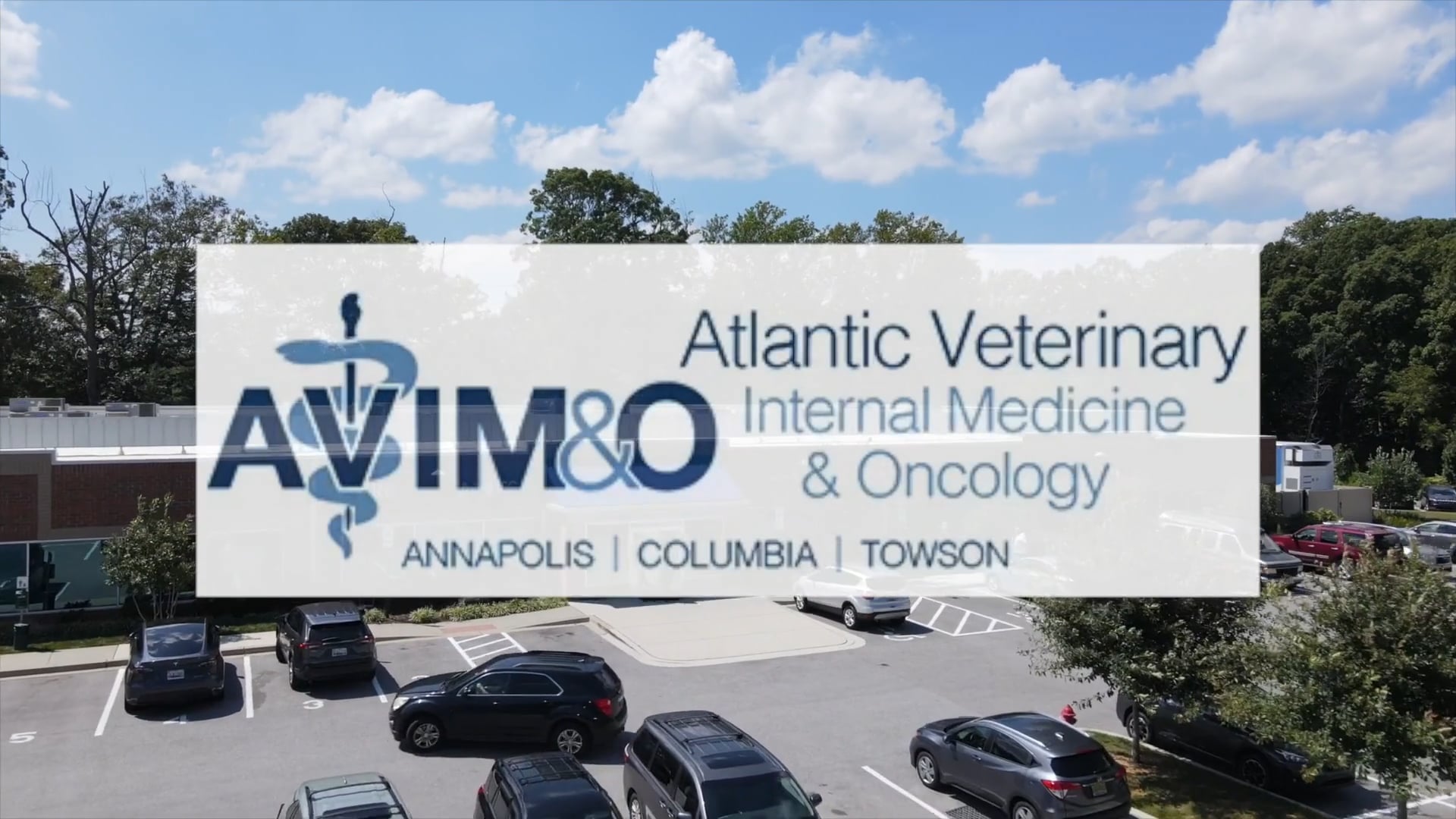 Get to Know the AVIM&O Team on Vimeo