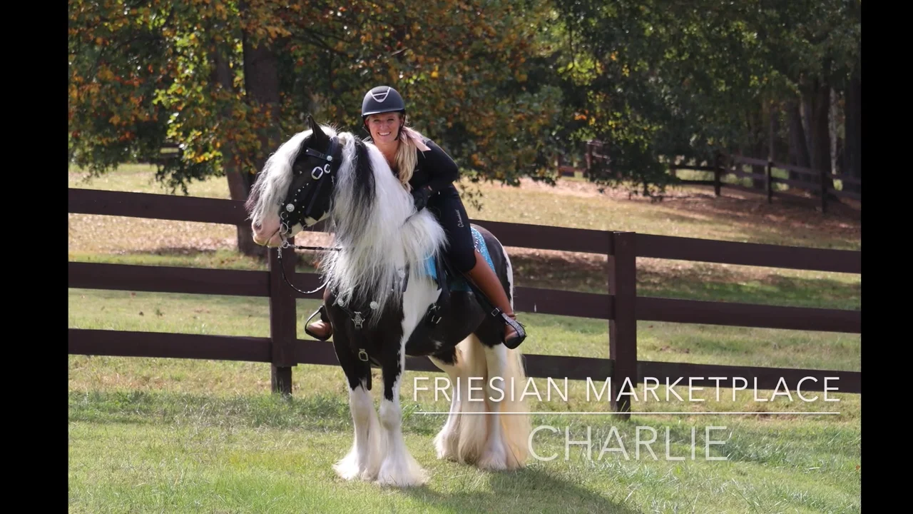 Charlie Western.mov on Vimeo