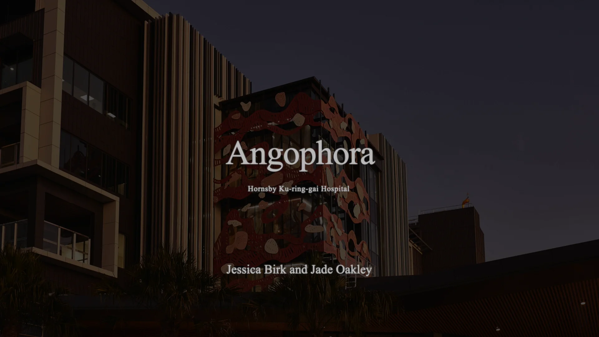 'Angophora' by artists Jessica Birk and Jade Oakley | Hornsby Hospital ...