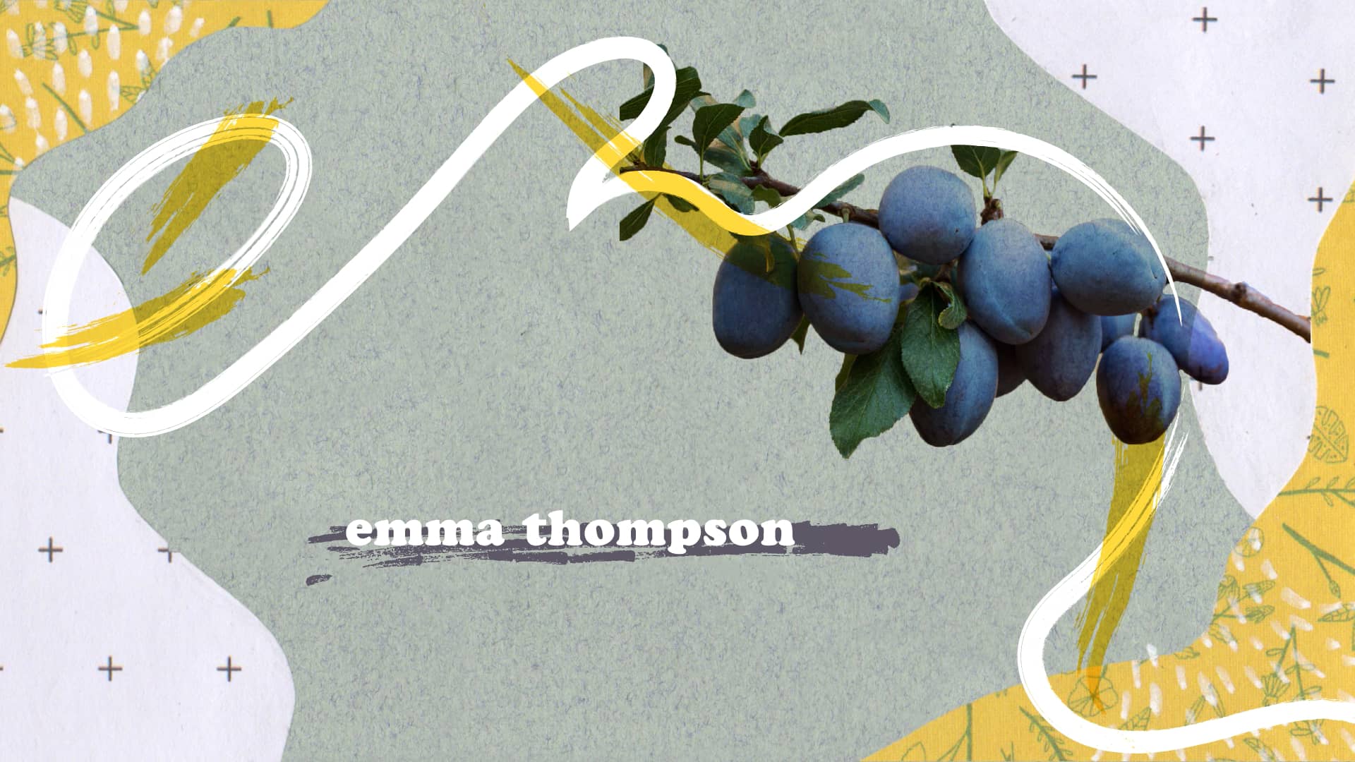 schooled title sequence on Vimeo