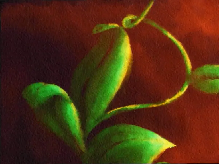 ADM 'Paint'-HD on Vimeo