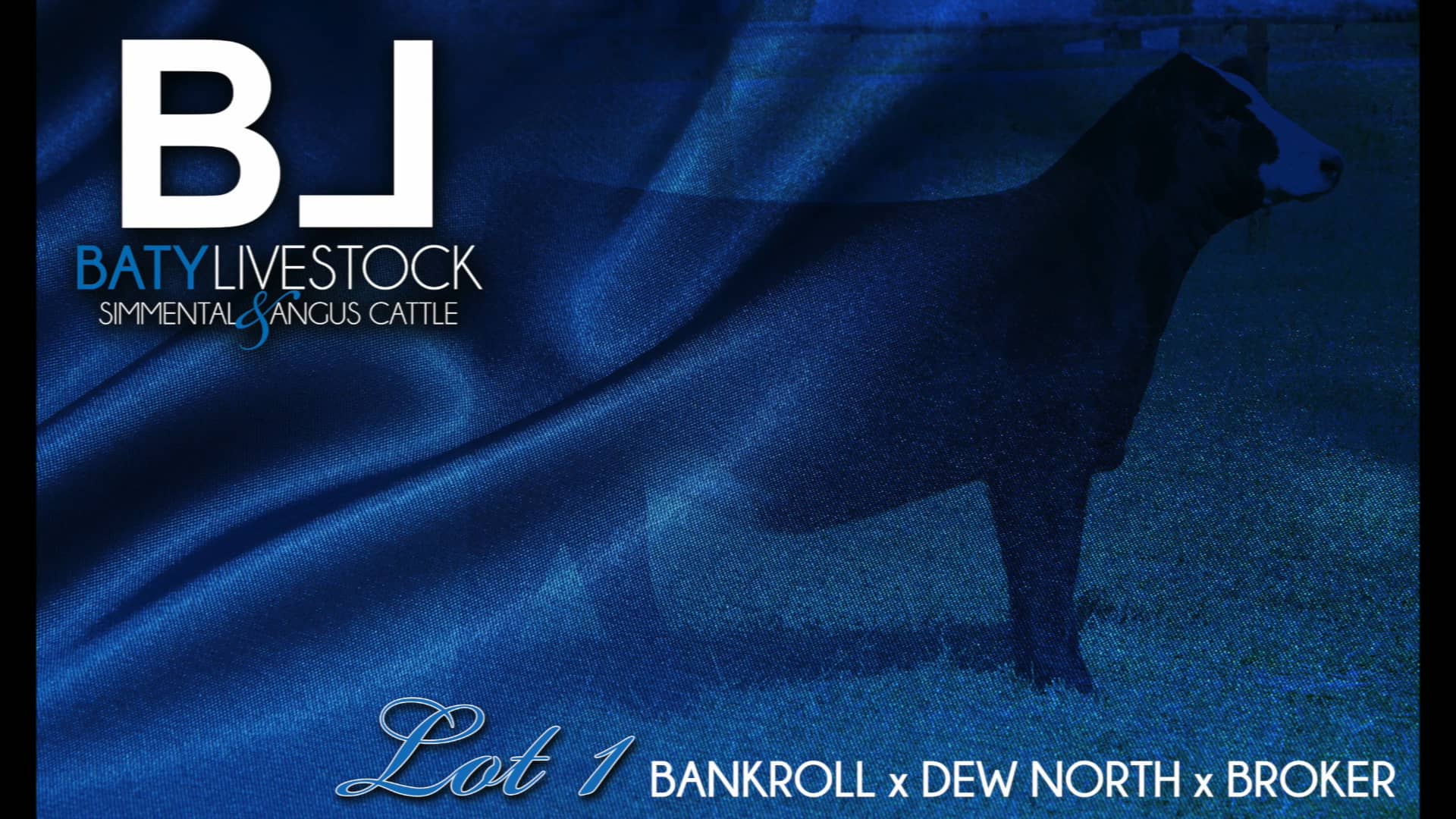 Lot 1 :: 2022 Baty Livestock Show Heifer and Donor Prospect Sale.mp4 on ...