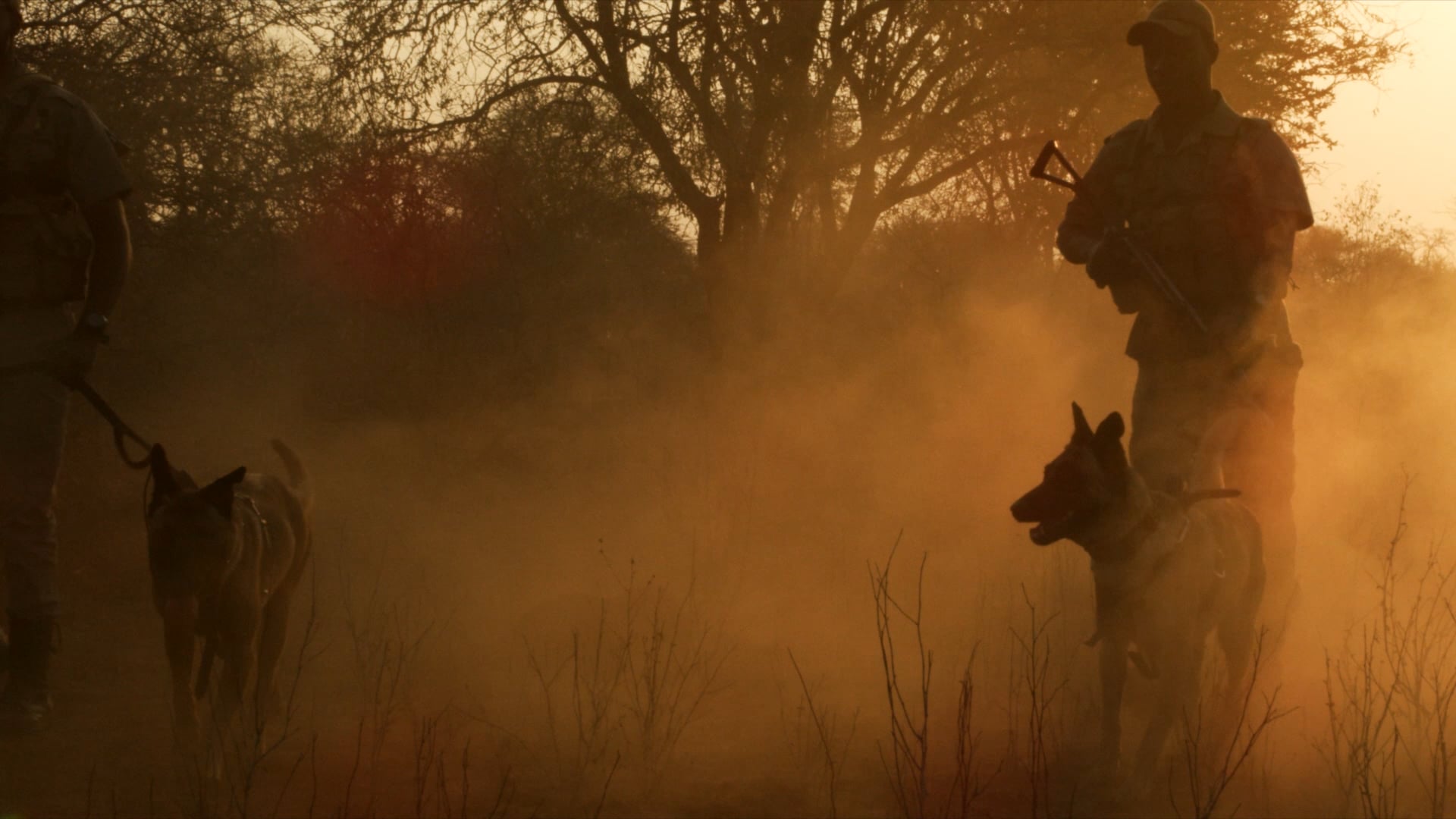 ATS Anti-poaching Tracking Specialists