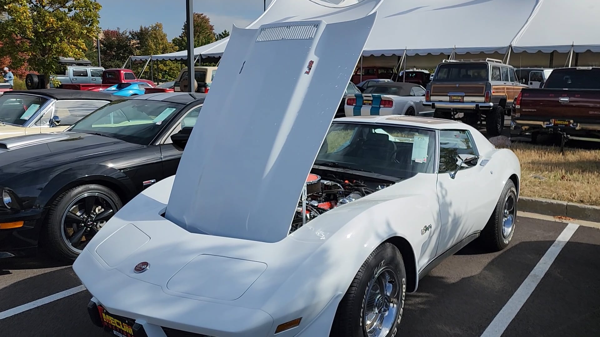 1975 Chevrolet Corvette Custom Coupe | F70 | Chicago 2022