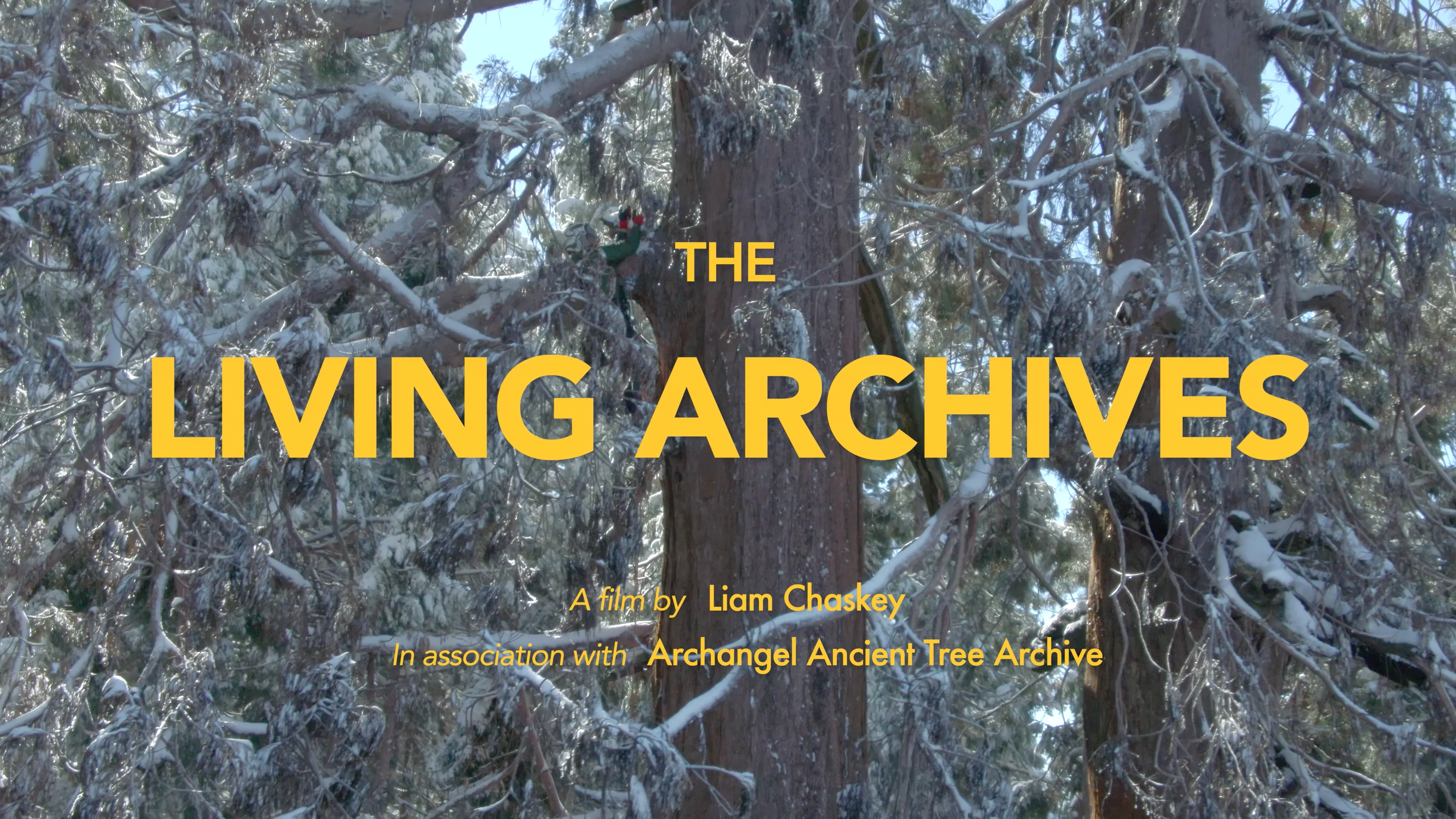 The Living Archives Teaser on Vimeo