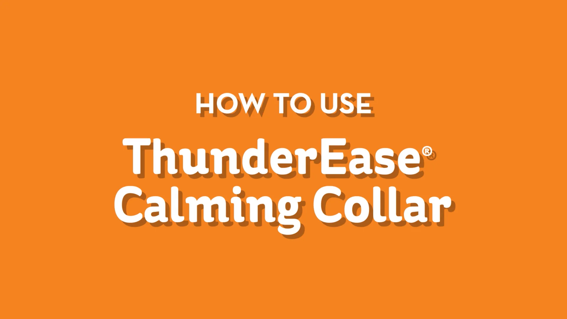 How to Use ThunderEase® Calming Collar