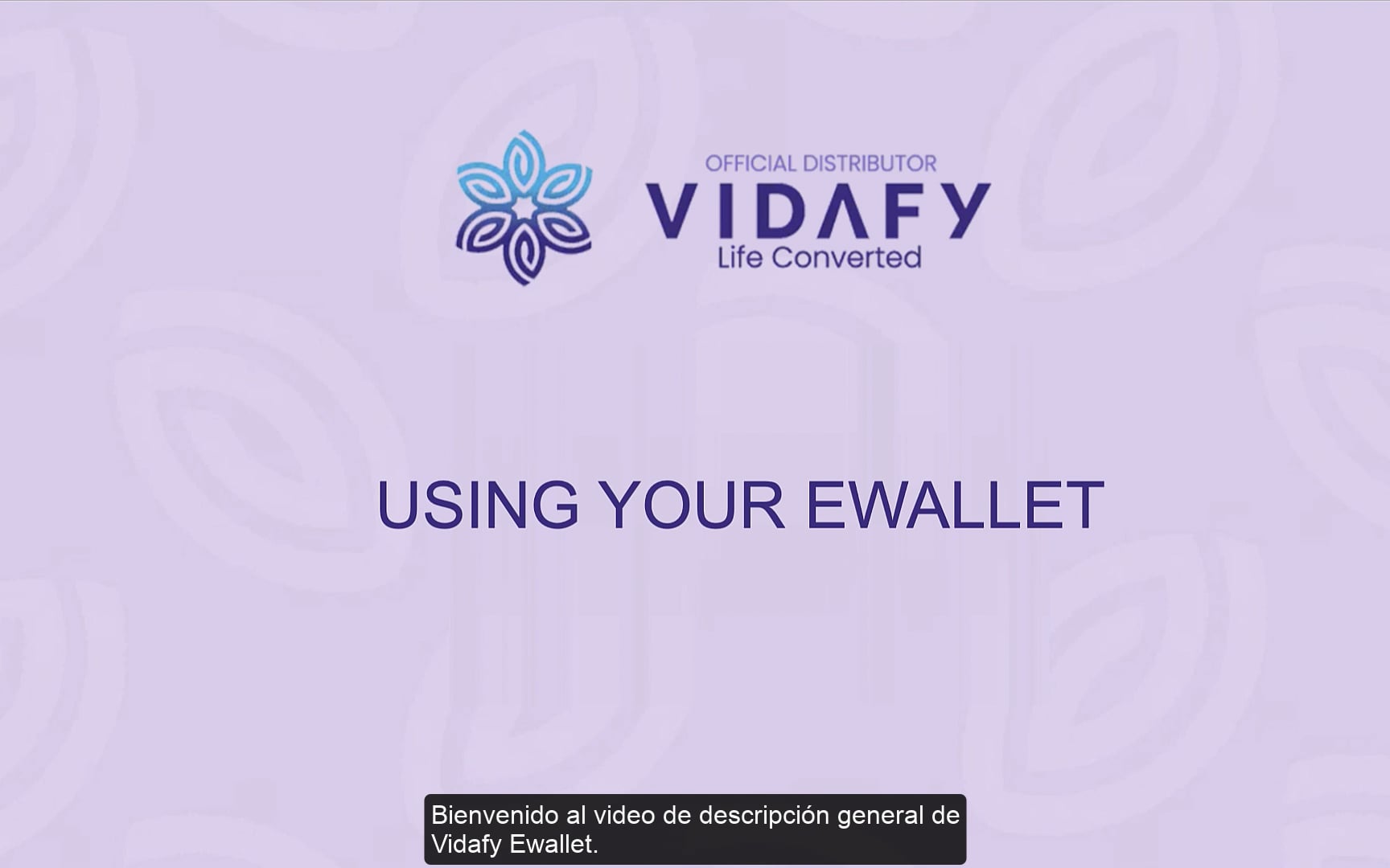 Ewallet VIDAFY Introduction on Vimeo