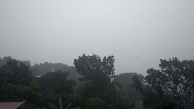 Rainfall, Rain, Water. Free Stock Video - Pixabay