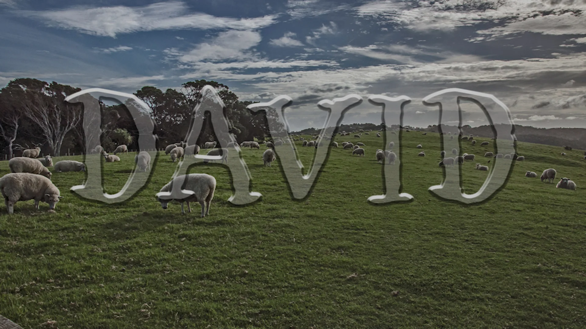 David at Nob on Vimeo