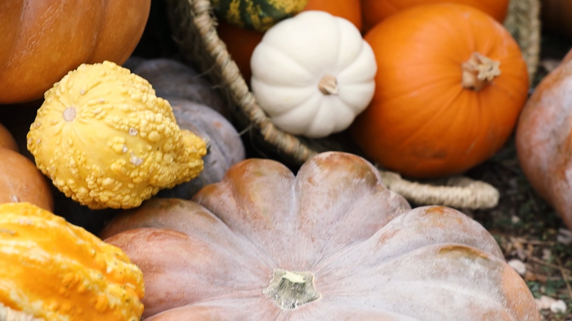 ECI KIDS HALLOWEEN PILDORA 1 on Vimeo