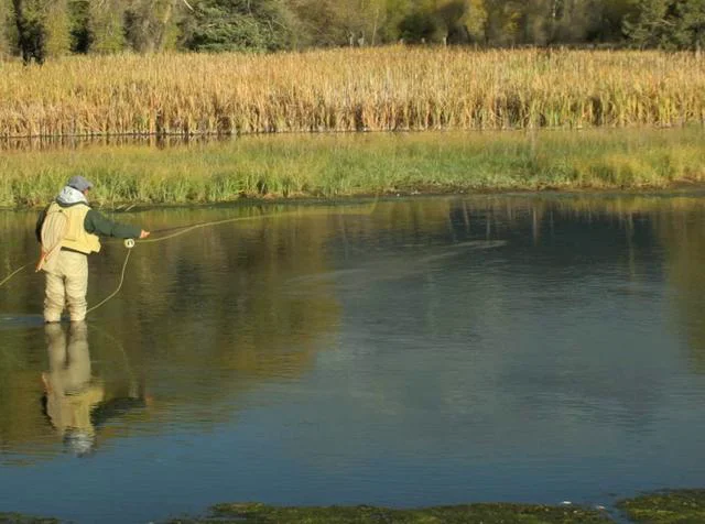Montana Fly Fishing on Vimeo