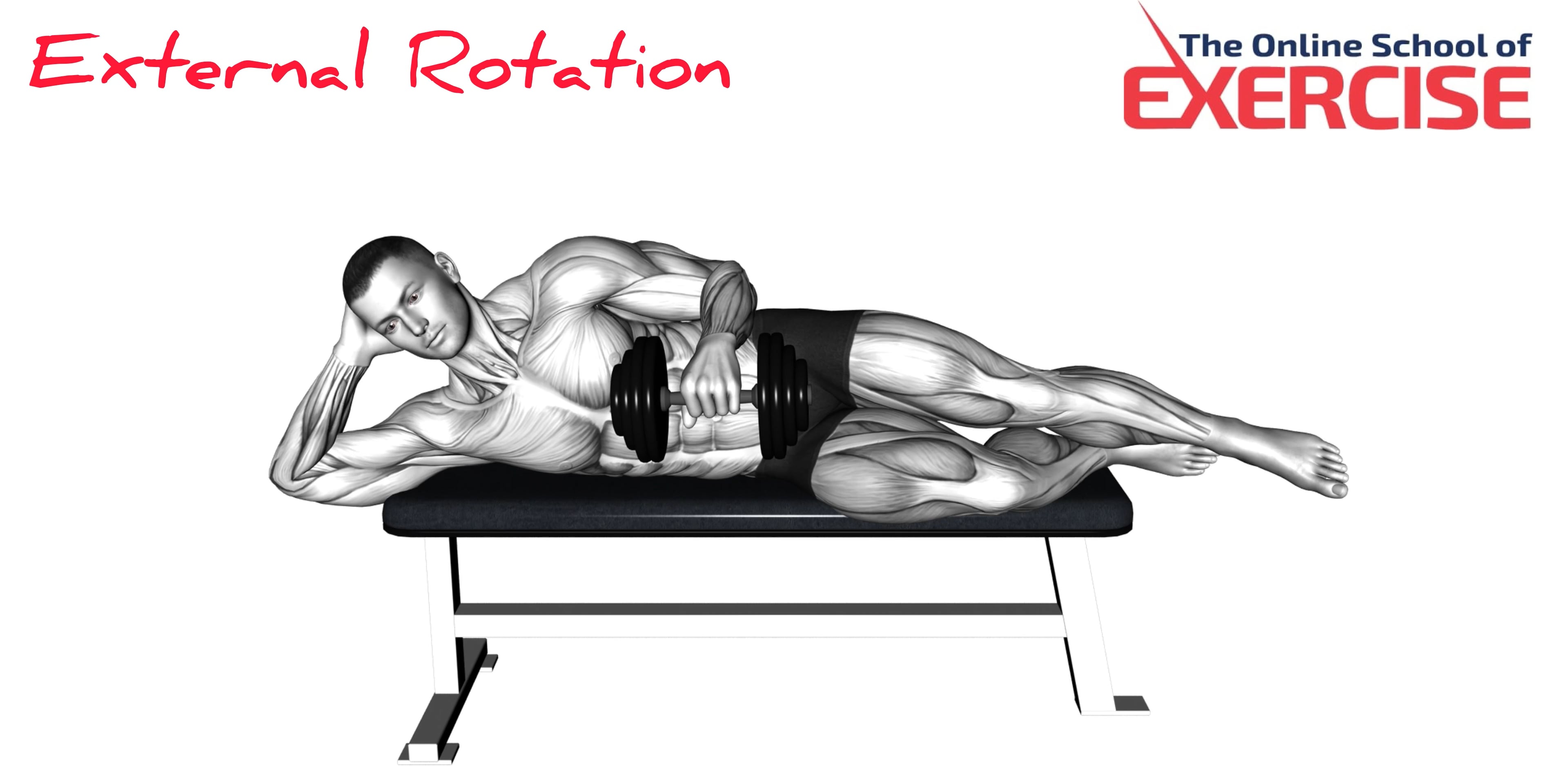 Side-Lying External Rotation on Vimeo