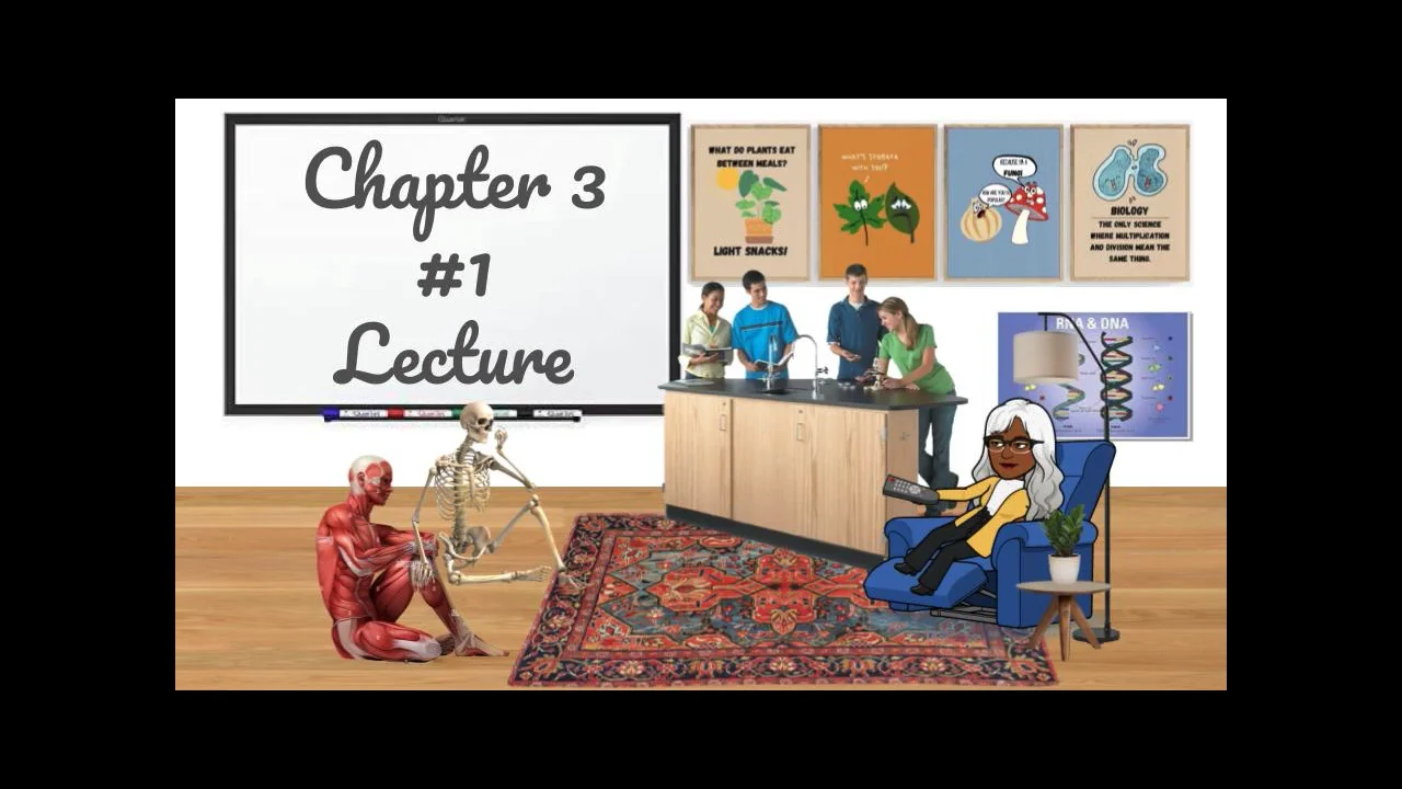 Chapter 3 - Introduction