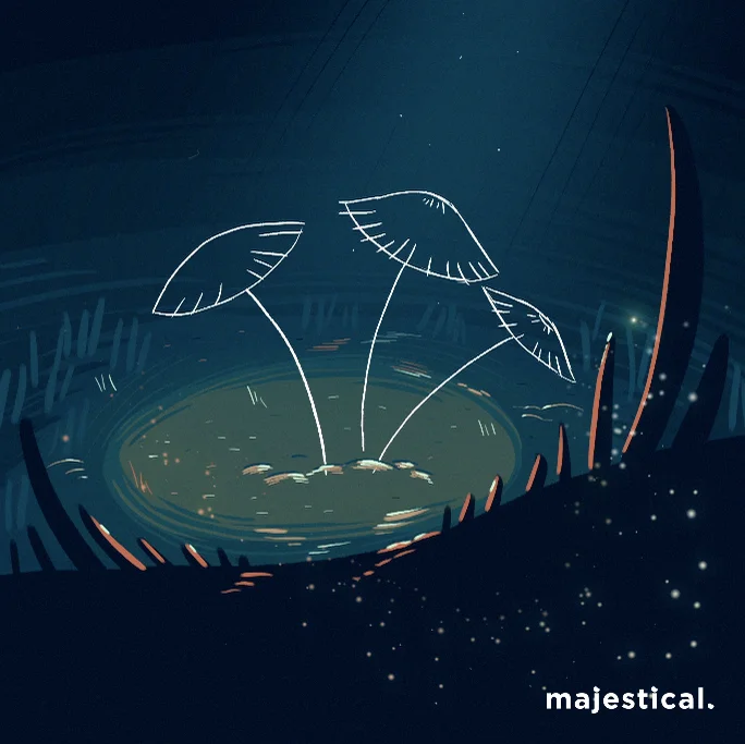 Mushroom Line Boil Animation on Vimeo