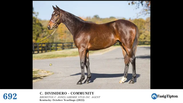 Hip 692 FT oct Divisidero - Community on Vimeo