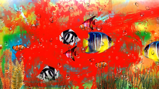 1+ Free Bubles & Fish Videos, HD & 4K Clips - Pixabay