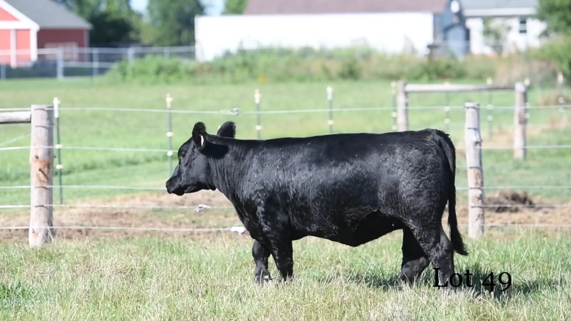 Hardesty Lot 49 on Vimeo