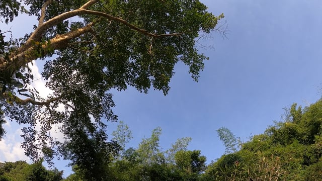 Hot Weather Videos: Download 11+ Free 4K & HD Stock Footage Clips - Pixabay