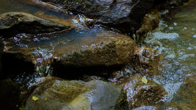 Brook River Creek - Free video on Pixabay