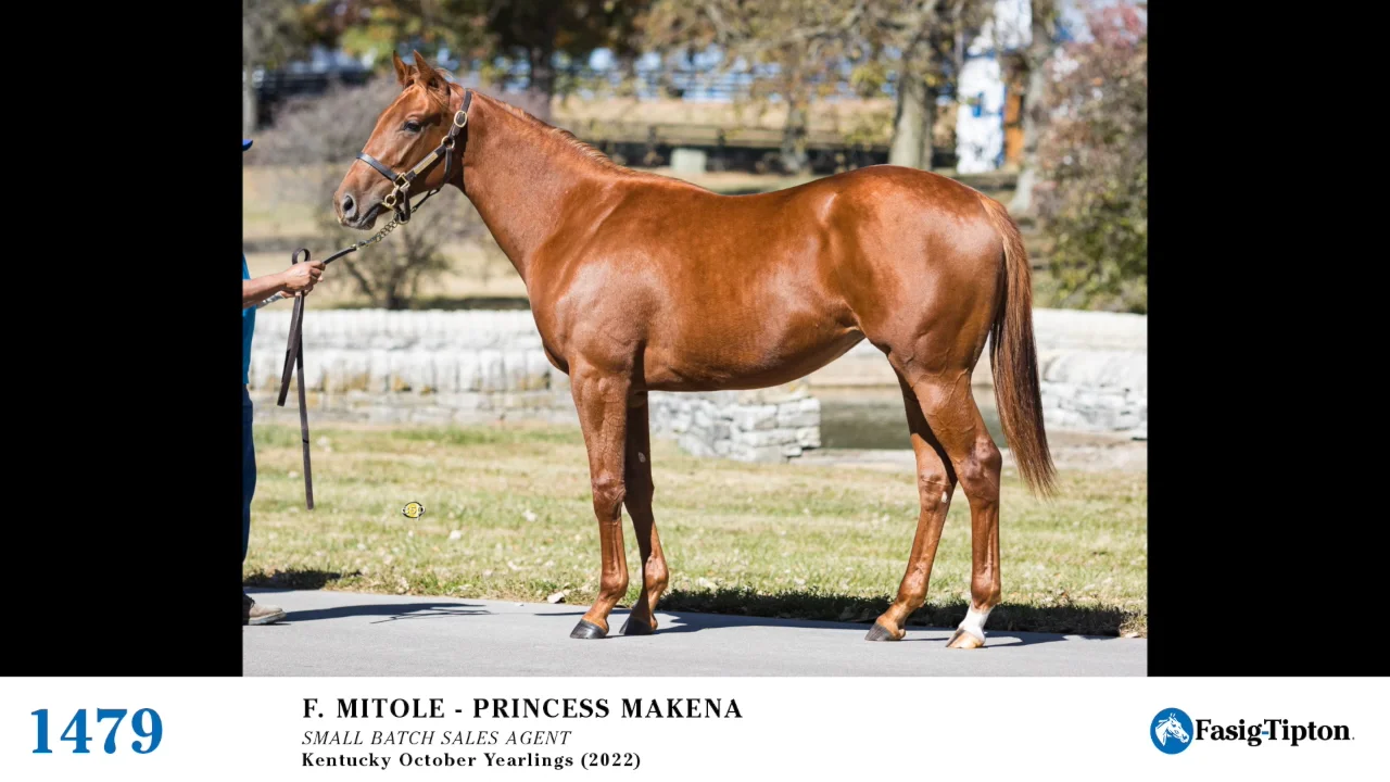 Hip 1479 FT Oct Mitole - Princess Makena on Vimeo