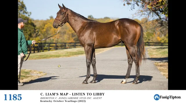 Hip 1185 FT Oct Liam's Map - Listen To Libby on Vimeo