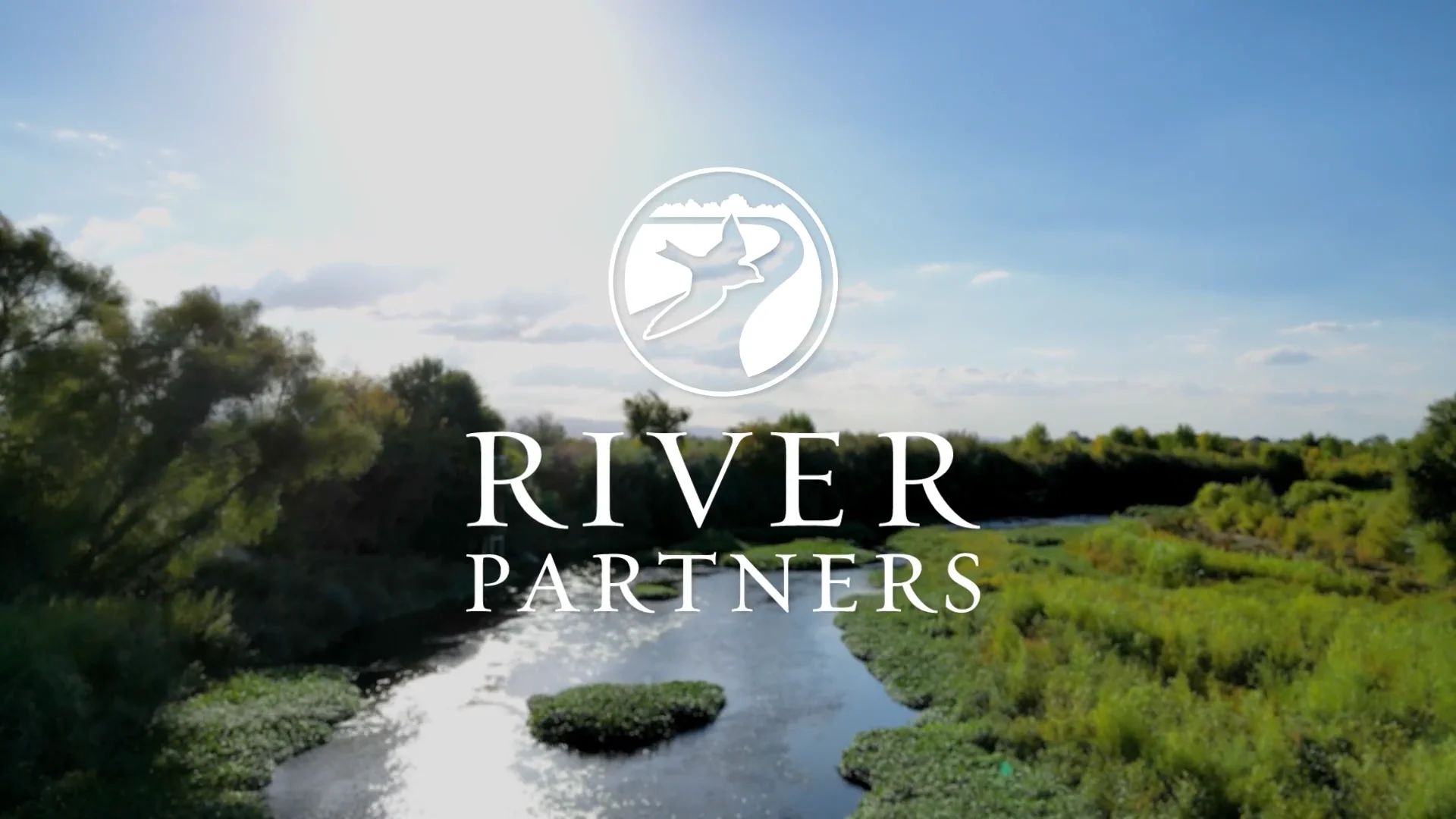 Dos Rios Ranch Preserve - Historic Floodplain Restoration (full) on Vimeo