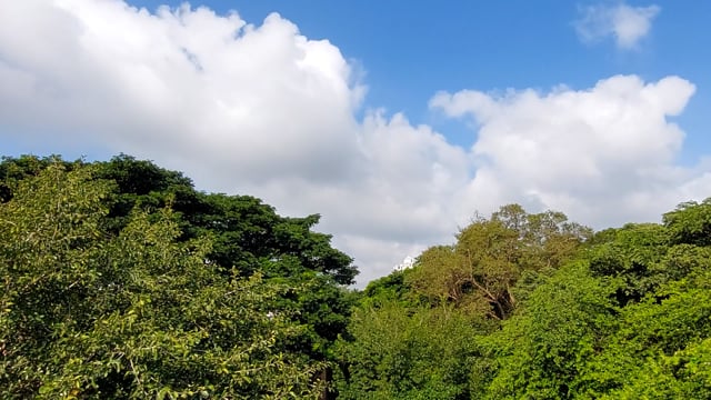 Fresh Air Videos: Download 22+ Free 4K & HD Stock Footage Clips - Pixabay