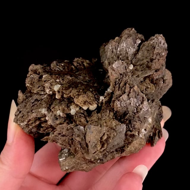 Axinite-Fe (rare locality specimen) (ex Chet Lemanski Collection ...