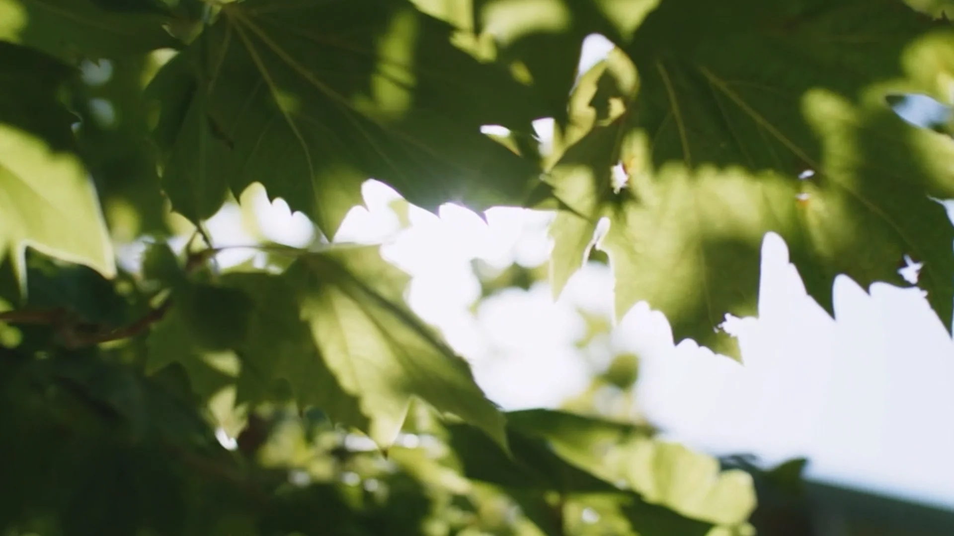 Edge on broadway hero video option 1.mp4 on Vimeo