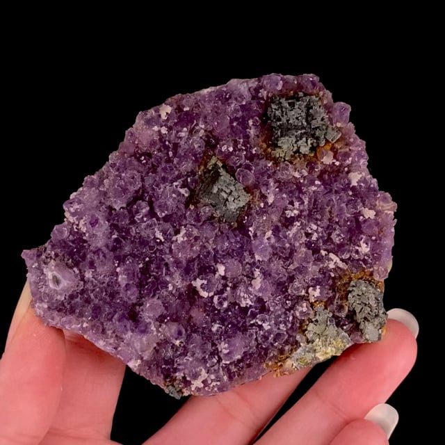 Amethyst with Galena (classic material) (ex Gary Weaver Collection ...