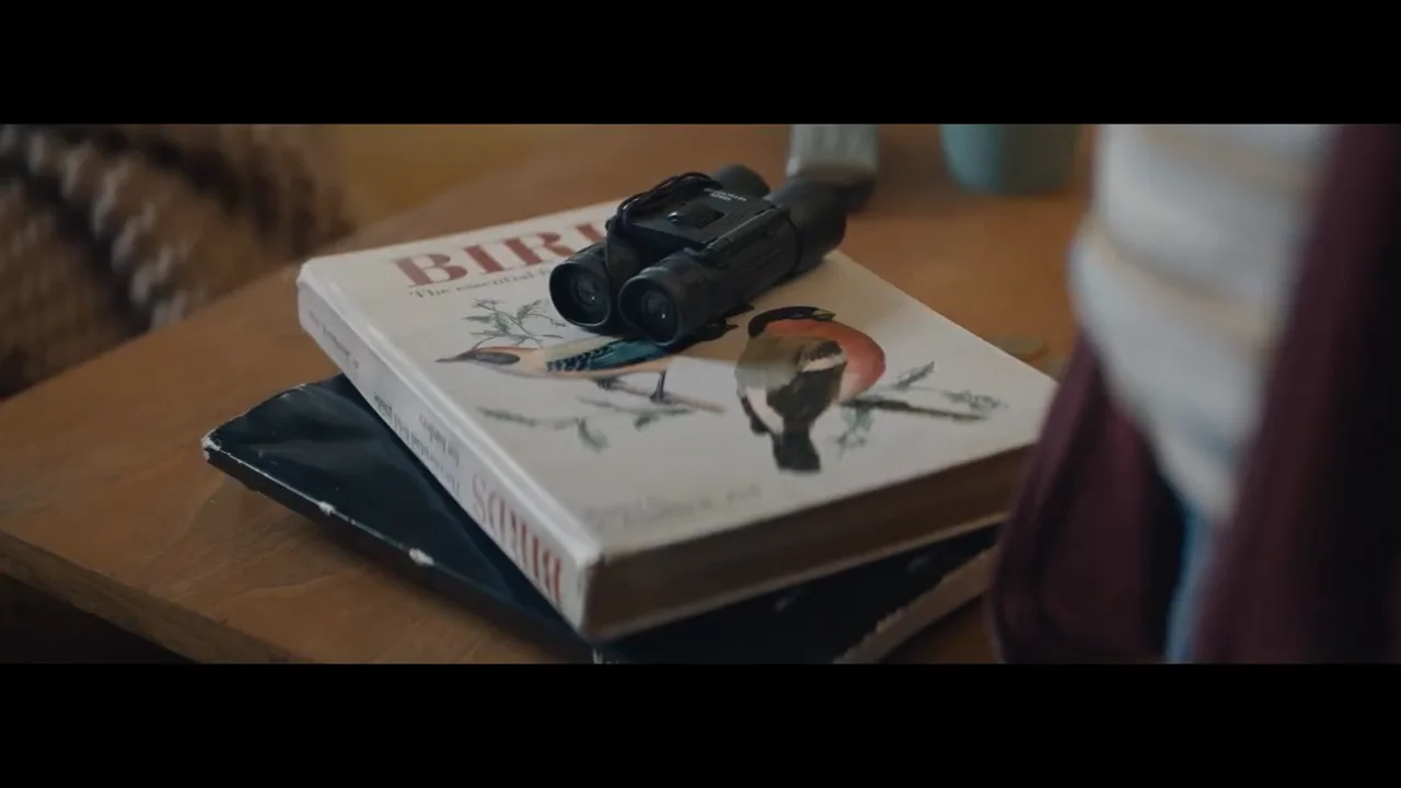 AXA - Bird watching on Vimeo