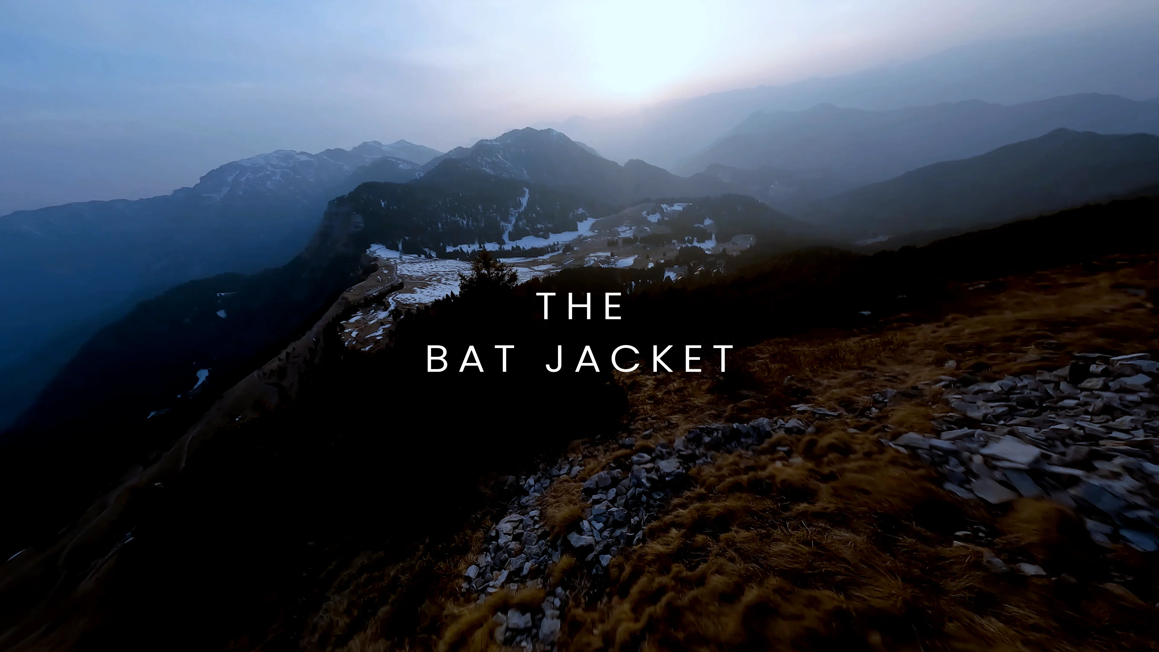 THE BAT JACKET