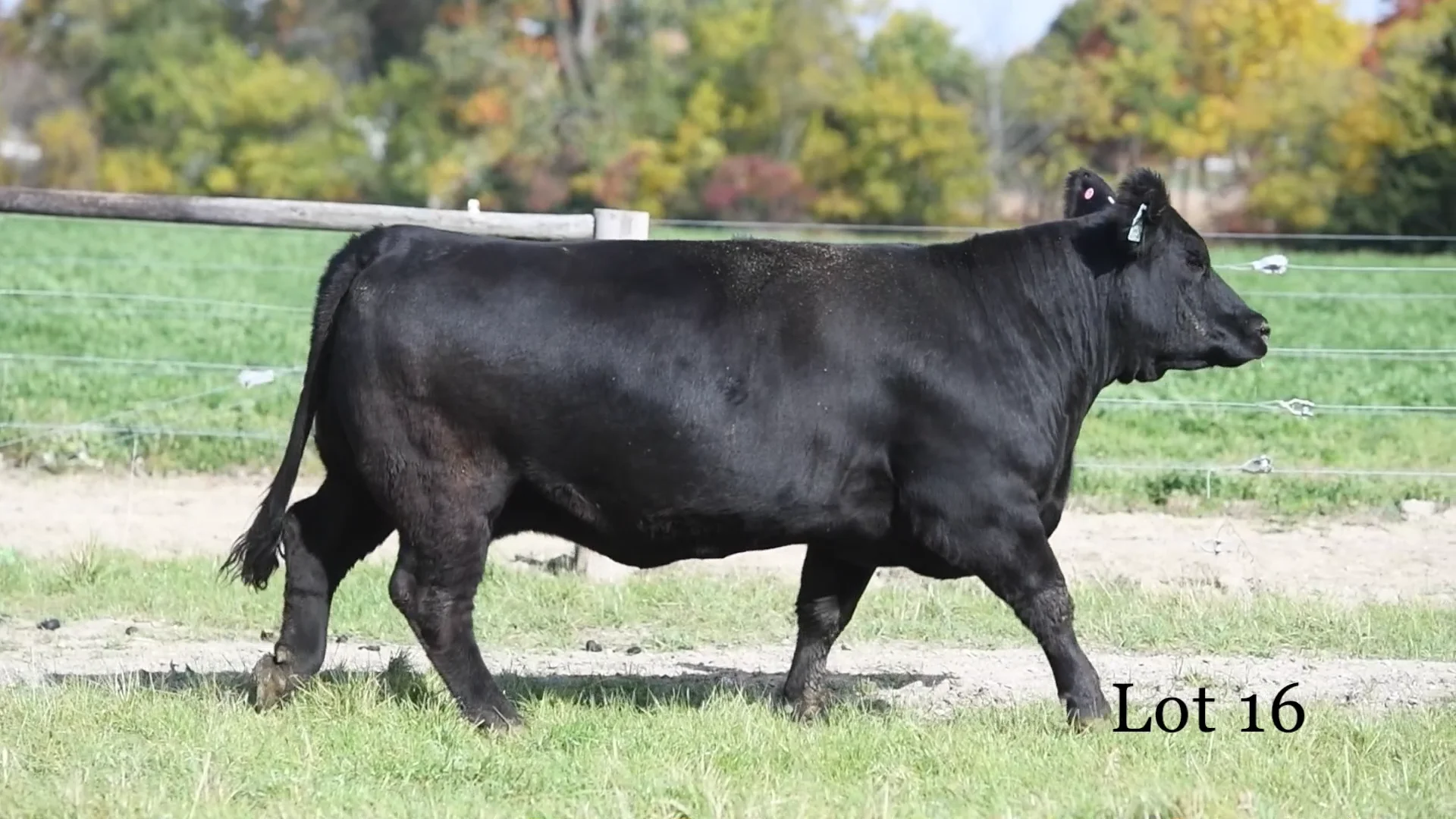Hardesty Lot 16 on Vimeo