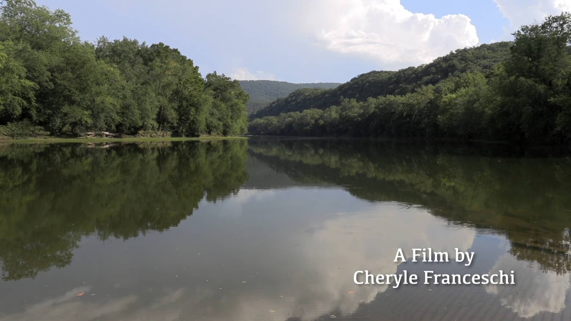 "Forest Her" OFFICIAL T R A I L E R on Vimeo