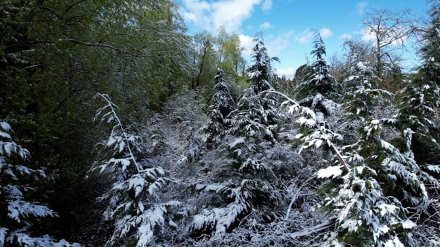 Snow, Summer, Sky. Free Stock Video - Pixabay