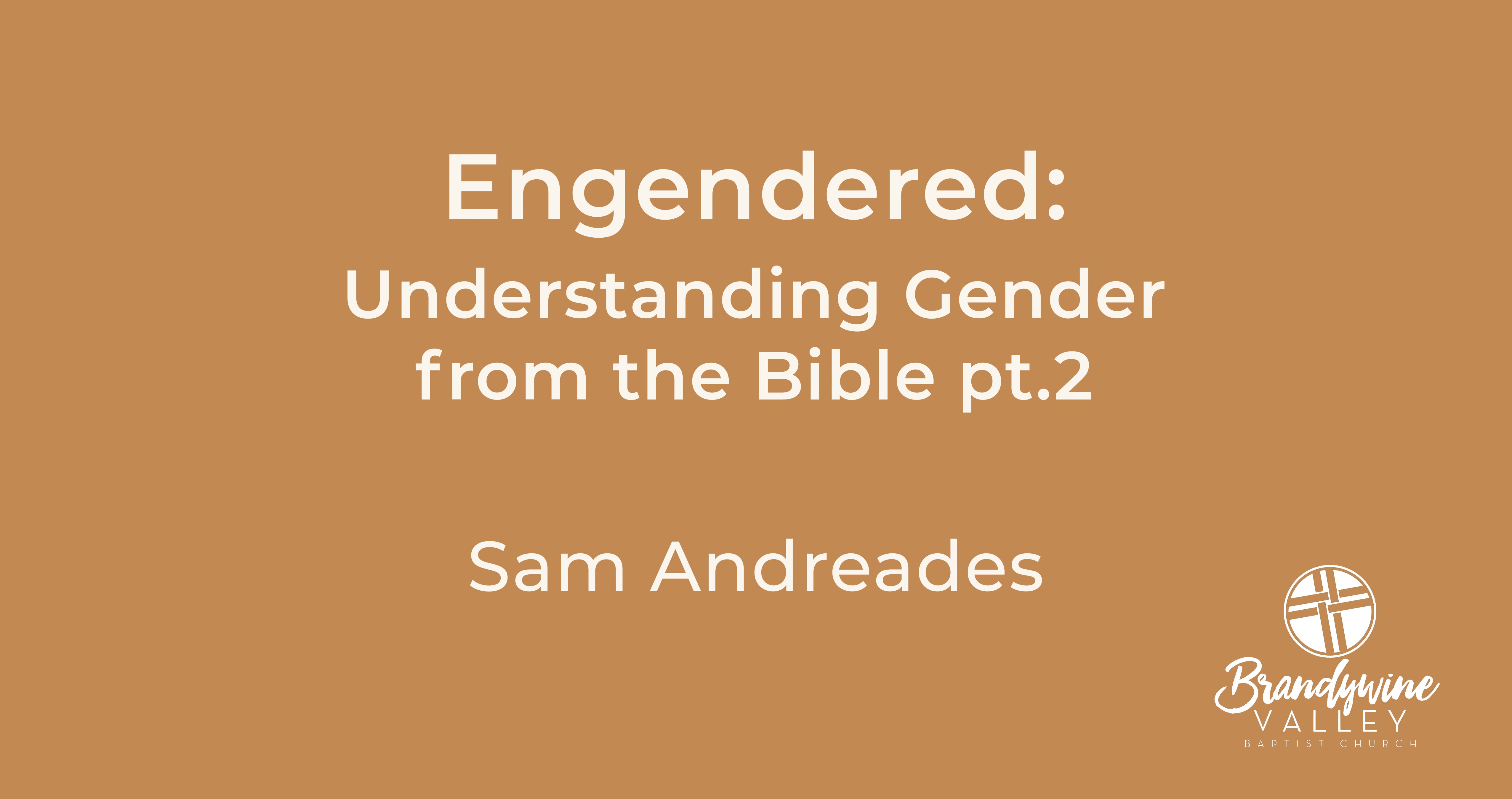 Engendered: Understanding Gender from the Bible pt. 2 on Vimeo